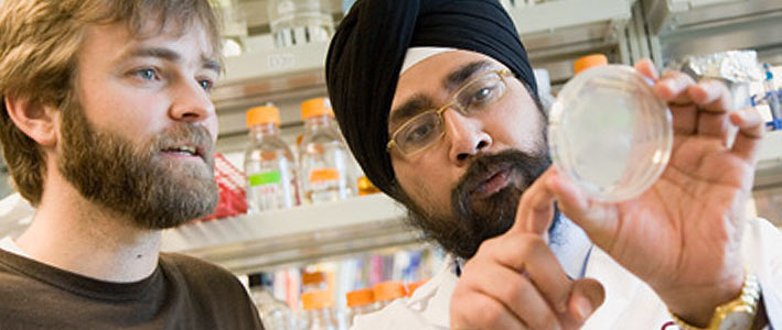 FHCRC Basic Biology Research Lab Explores Genetic "Evolutionary Arms Race"