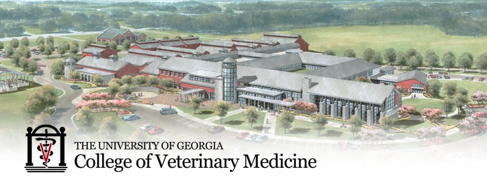 Five Best Blogs of 2011: Veterinary Medical Science Hospital at UGA in ...