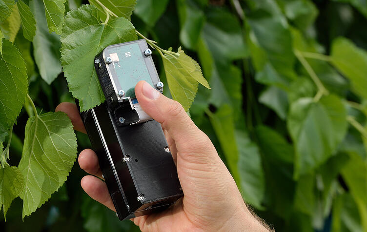 MSU Team Develops Social Media Platform...for Plants