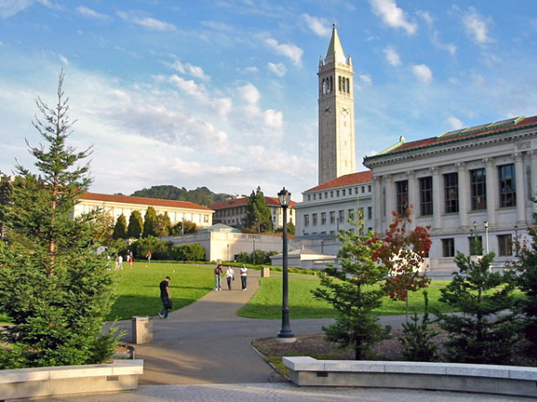 Berkeley Research and Opportunities from an Intern's Perspective
