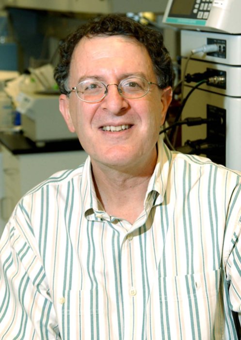 Intestinal Microbes Curb Obesity at WUSTL