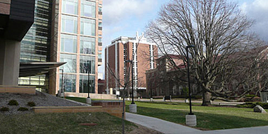 An Overview of Life Science Research Centers at UW Madison