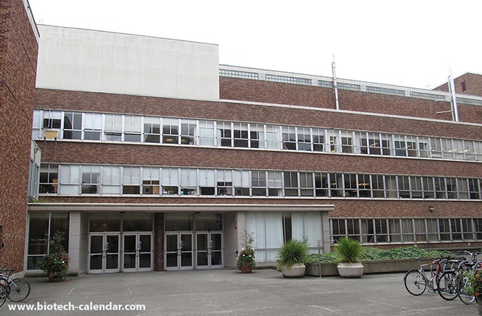 Fred Hutch Researchers Identify Biology-Based Treatment for Lung Cancer