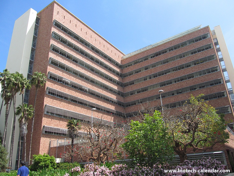 UCLA Life Science: Biochemists Convert Glucose Without the Help of Cells