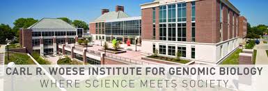 $5M Research Grant for UIUC to Make Sorghum a Sweet Source of Biofuel